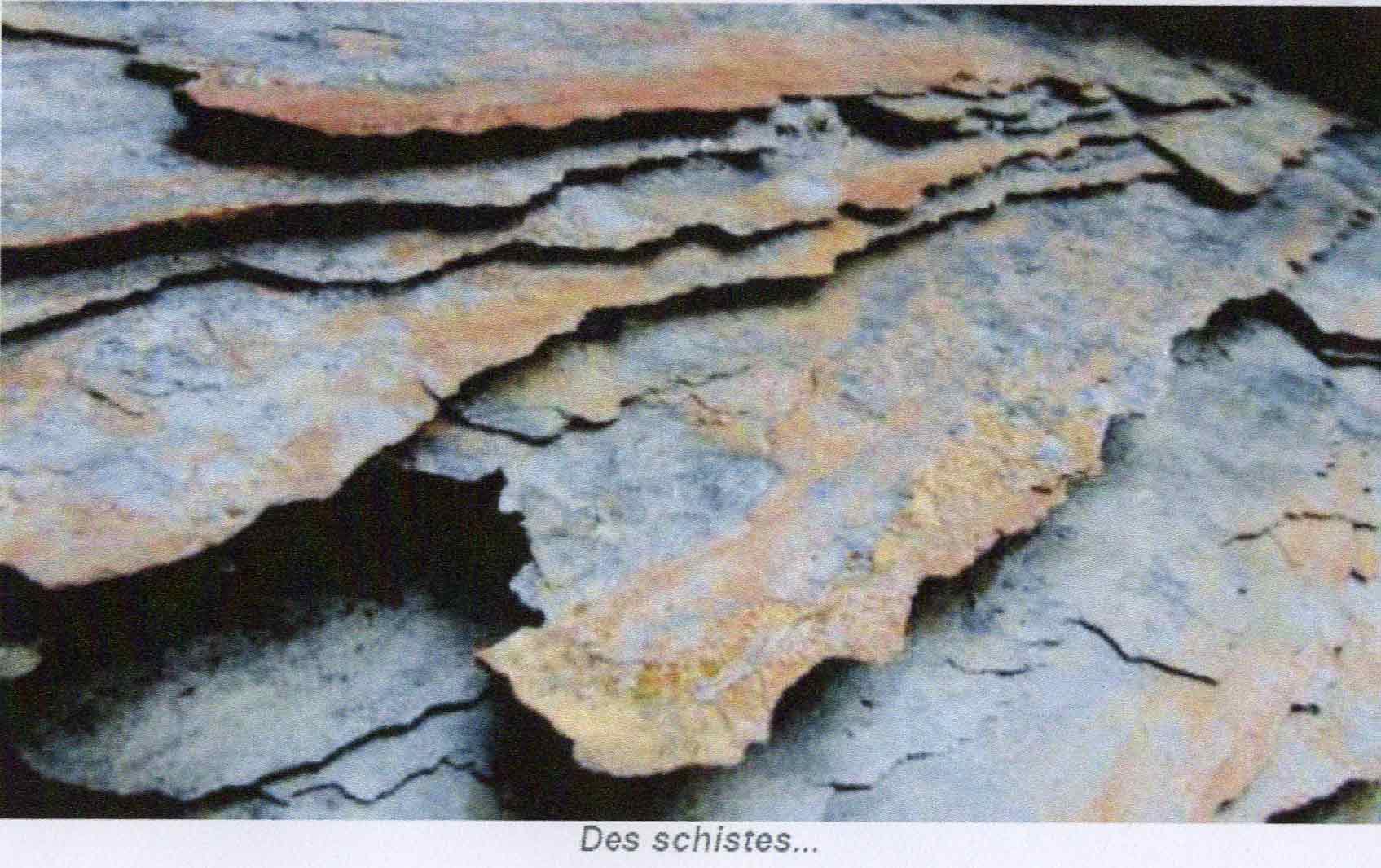 A PROPOS DES SCHISTES : PETROLE ET GAZ DE ROCHES-MERES